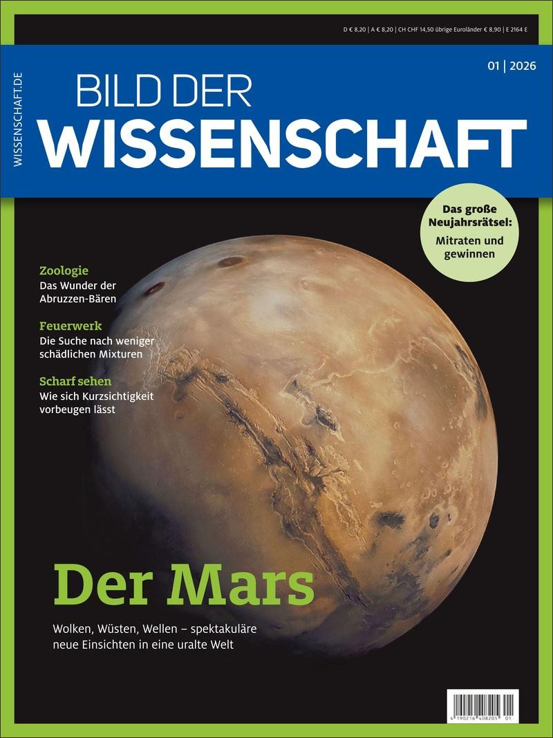 direktabo.de | bdw DIGITAL Ausgabe 01/2026