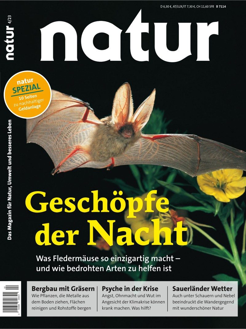 direktabo.de | natur 04/2023