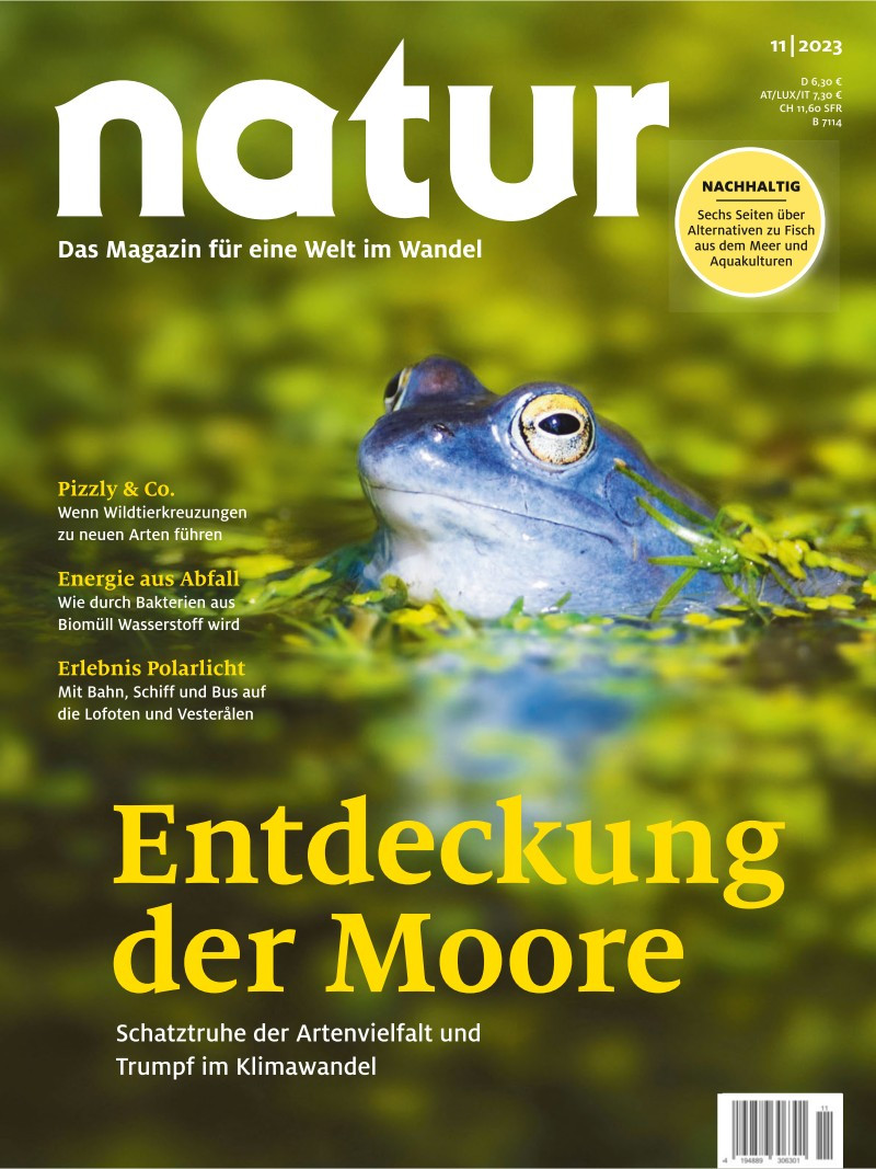 direktabo.de | natur DIGITAL 11/2023